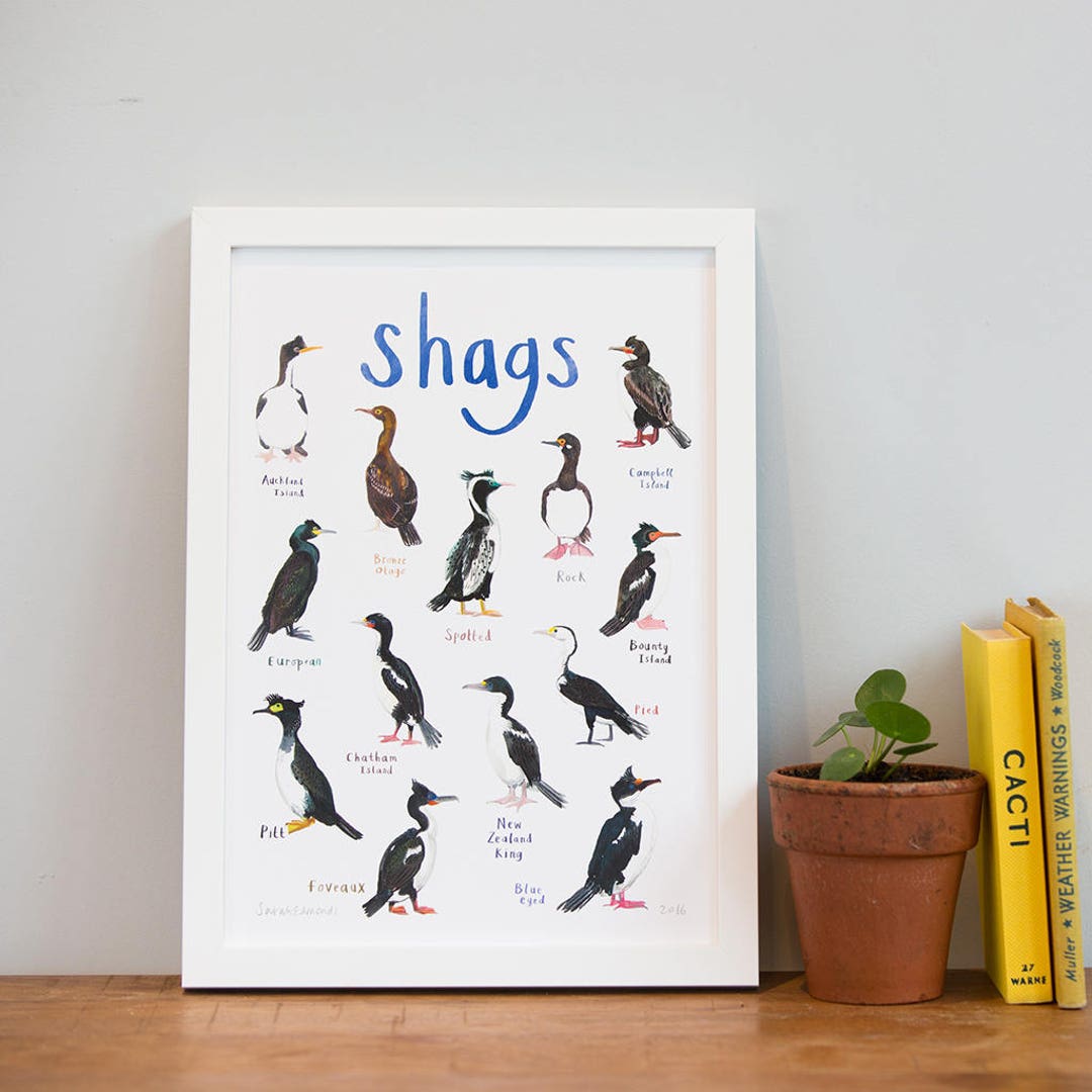 Shags Art Print A4 - Etsy