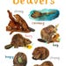 Beavers Art Print - A4 - Etsy