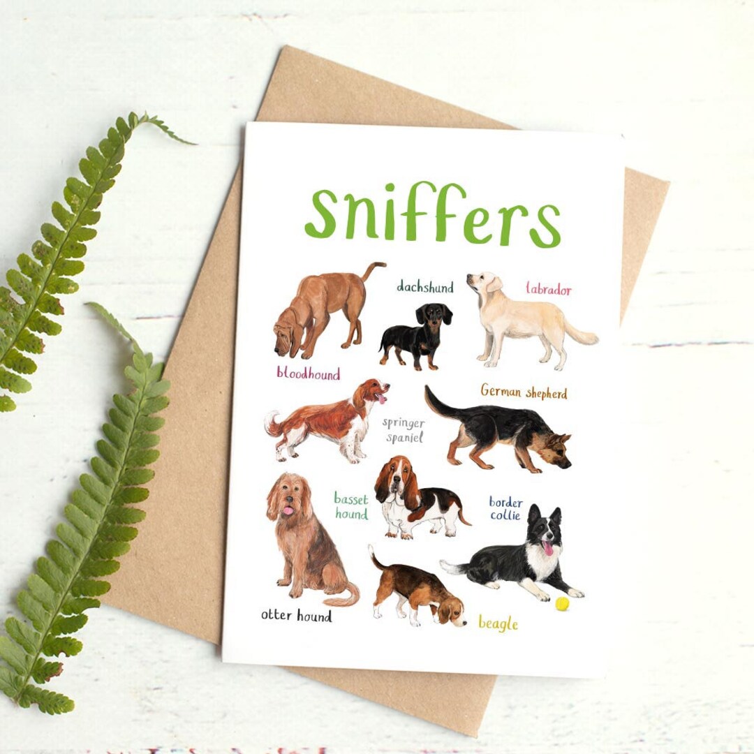 Sniffers Card - Etsy