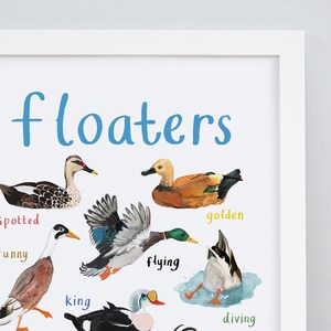 Floaters Art Print A4 - Etsy UK