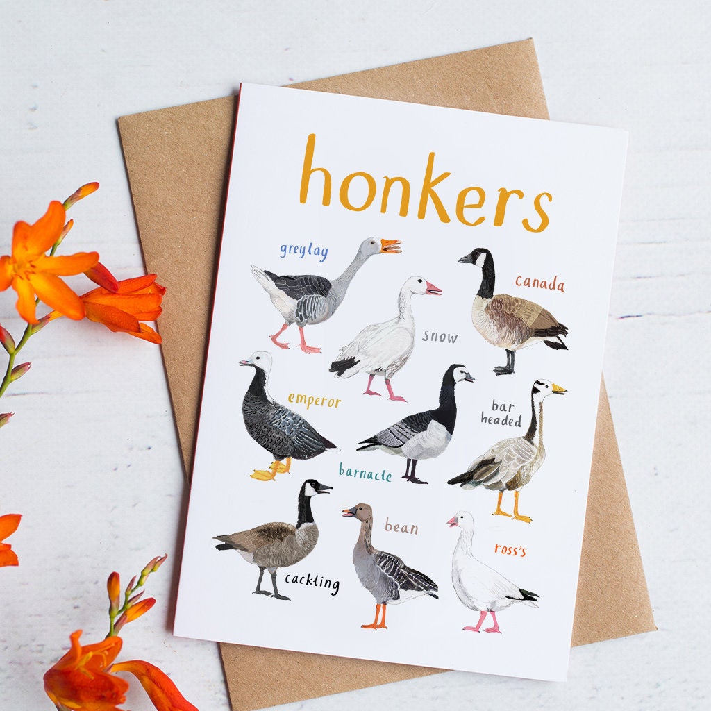 Honkers A6 Card Illustrated Geese Greeting Card GC31 | Etsy UK