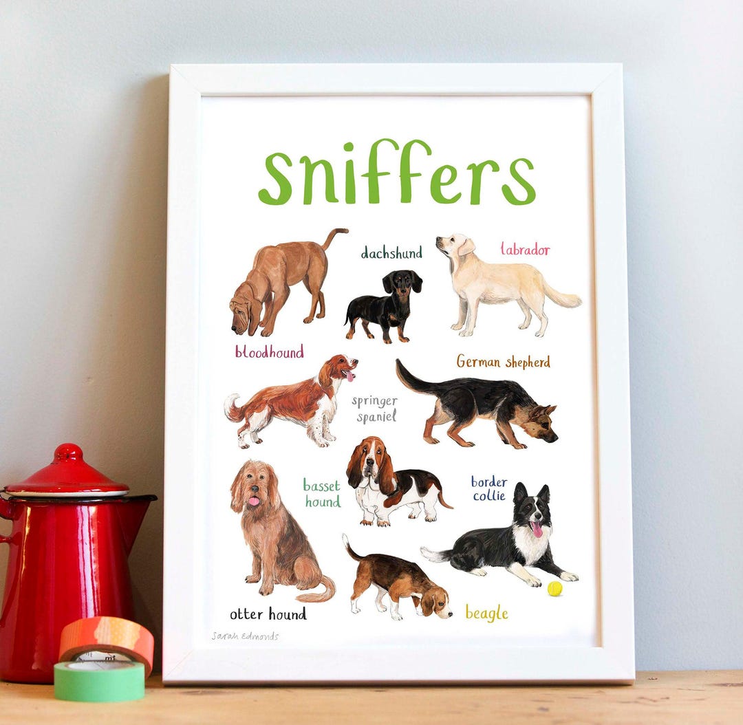 Sniffers Art Print - A4 - Etsy