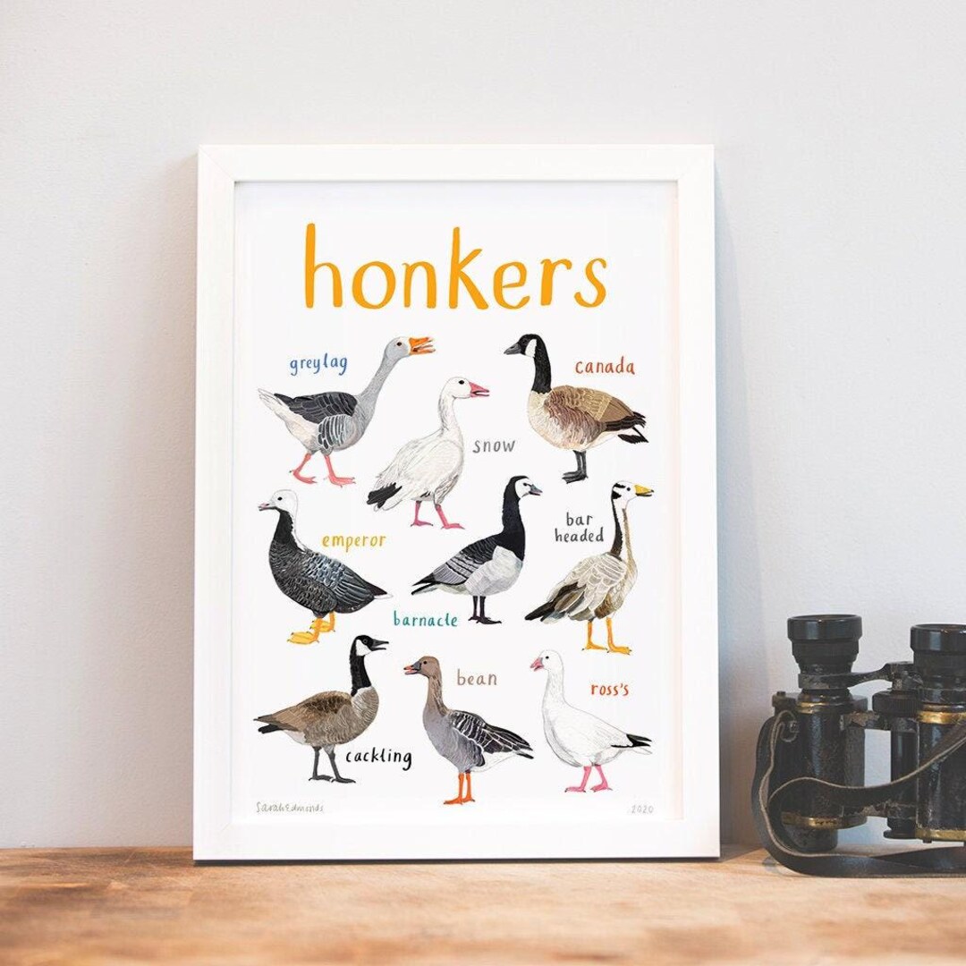Honkers Art Print - A4 - Etsy