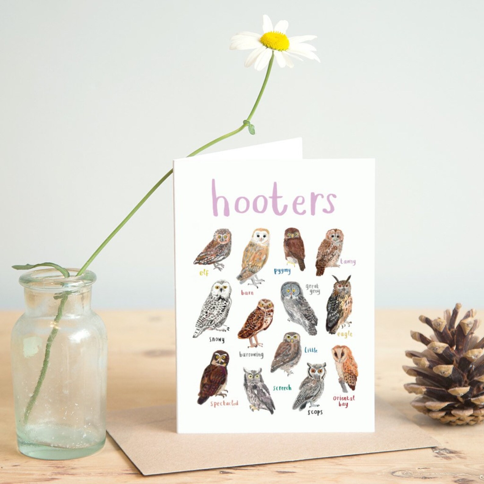 Hooters Card A6 Funny Bird Greetings Card GC06 | Etsy UK