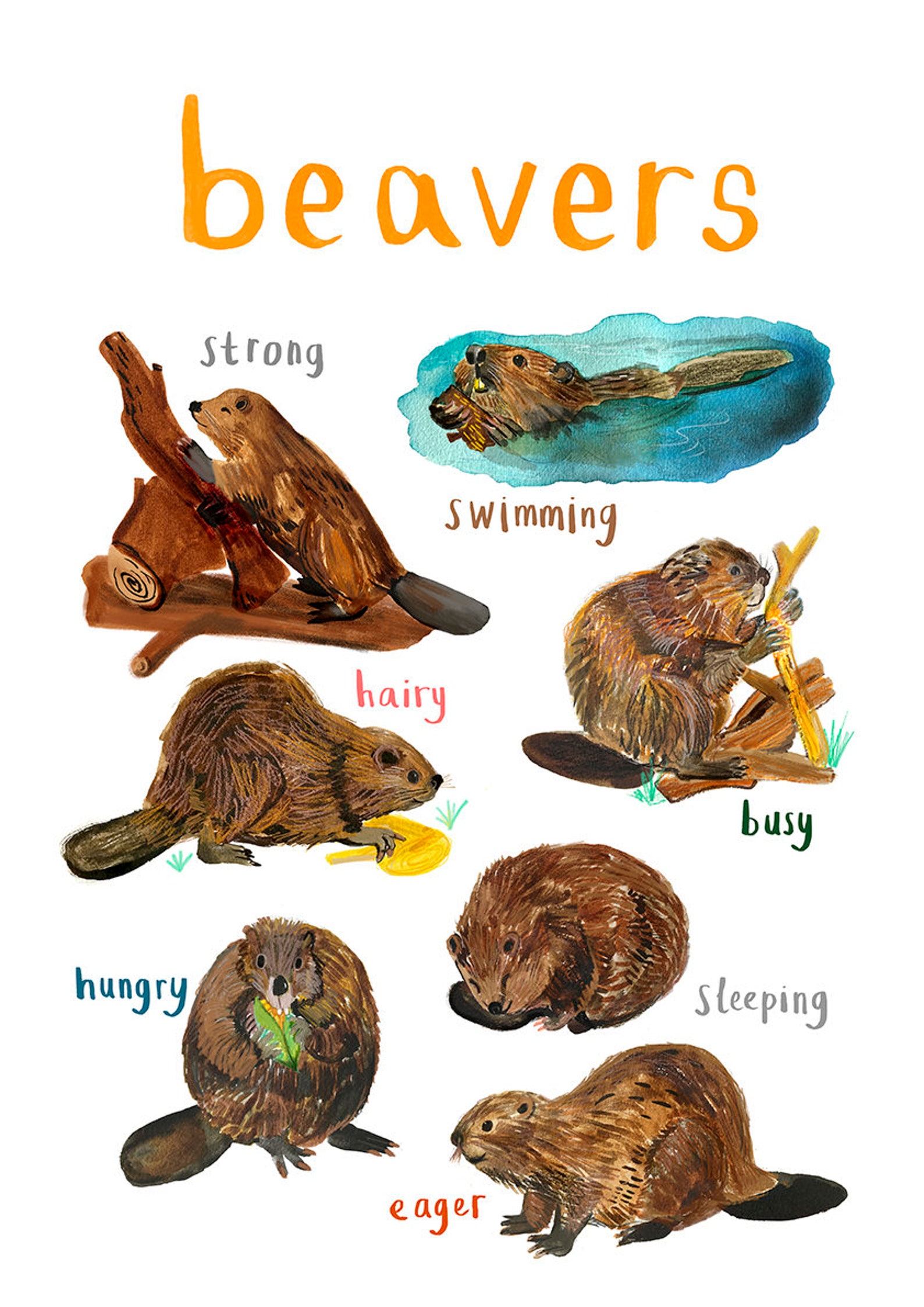 Beavers Art Print A4 | Etsy