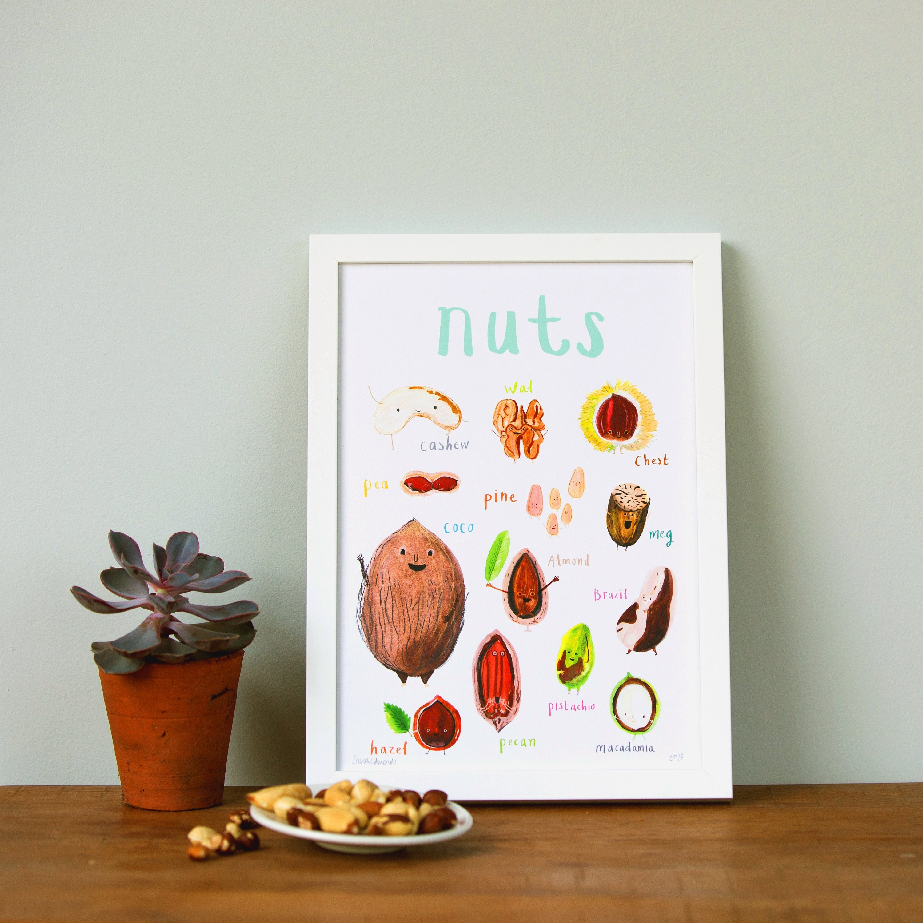 Nuts Art Print A4 - Etsy UK