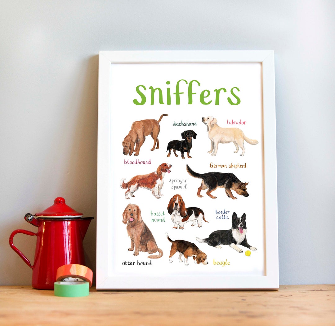 Sniffers Art Print A4 - Etsy