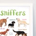 Sniffers Art Print A4 - Etsy