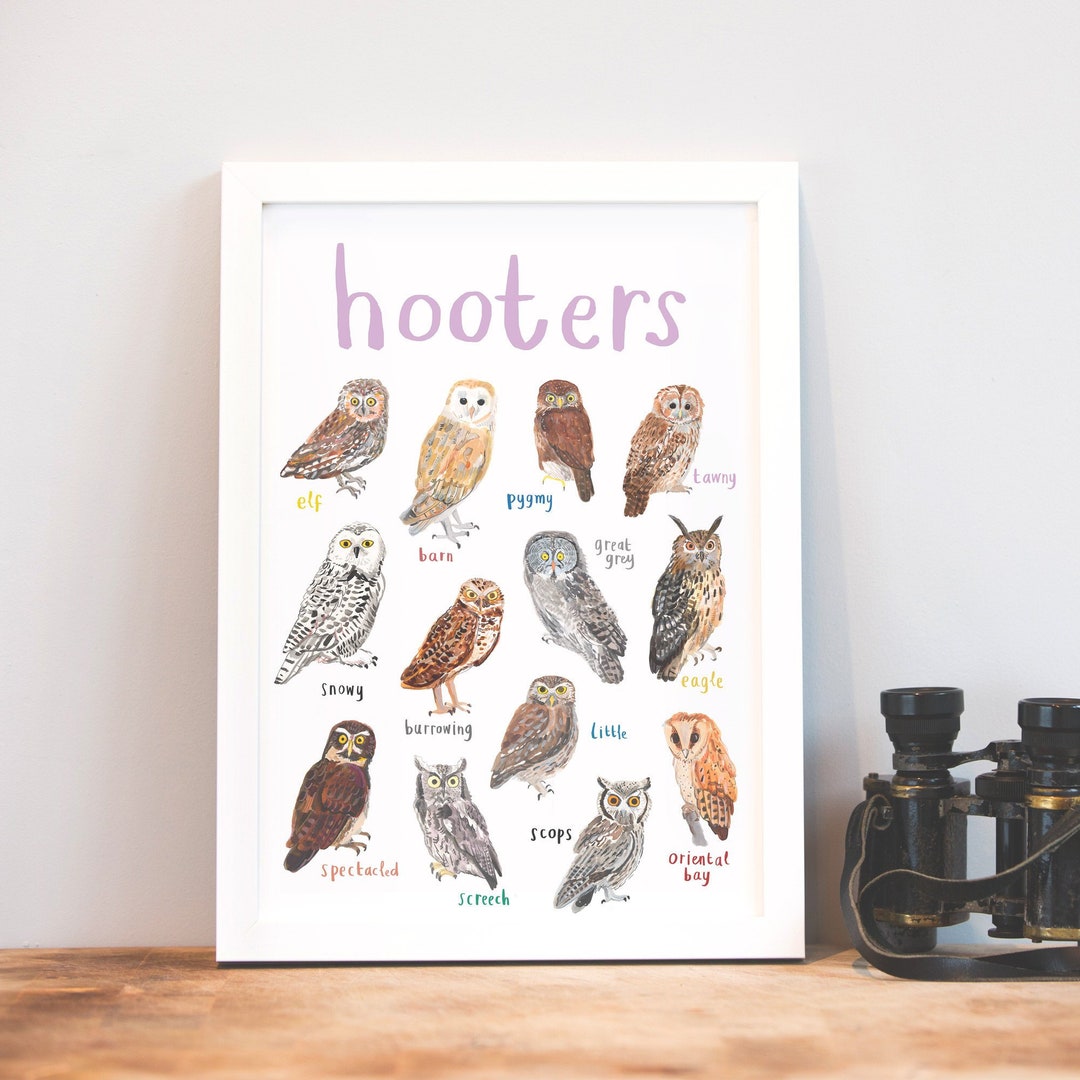 Hooters Art Print A4 - Etsy UK