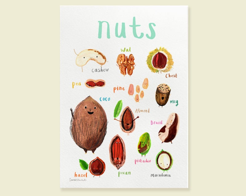 Nuts Art Print A4 | Etsy UK
