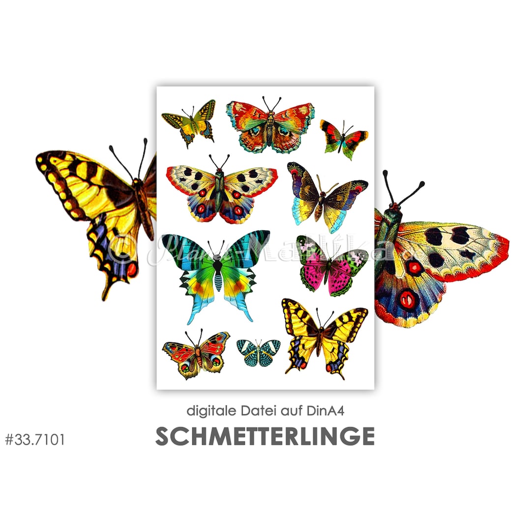 Digital File Pictures Collage Sheets Self-expression Tinkering Creative ...