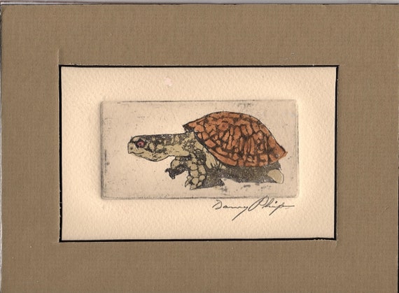 Original Etching turtle - Etsy