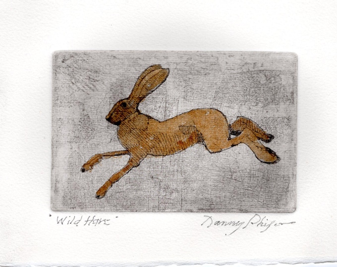 Hare Print, Limited Edition Giclee, Hello Stranger - Etsy Canada