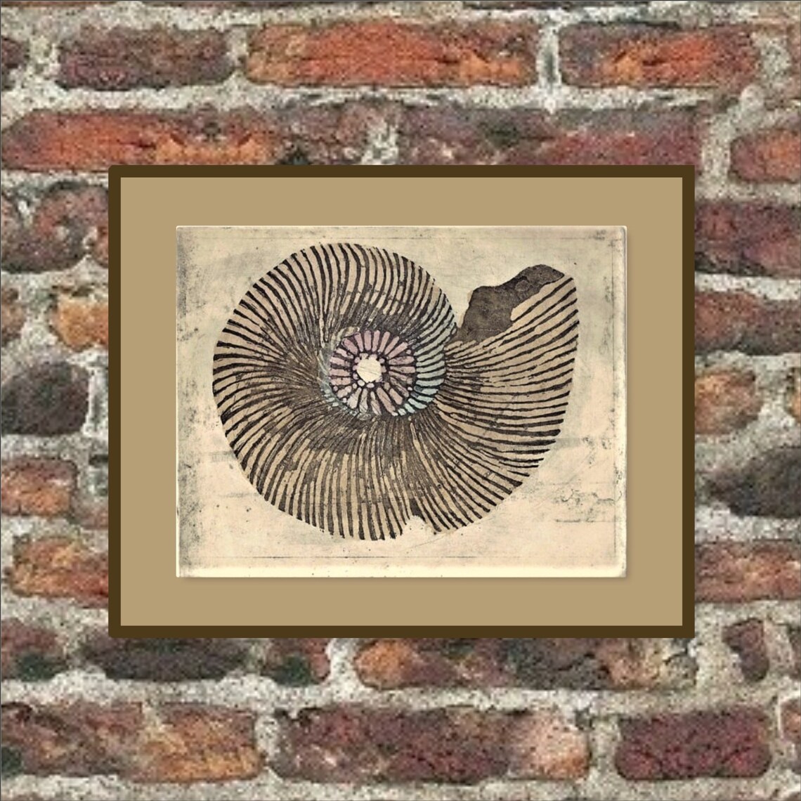 Nautilus Shell /etching - Etsy