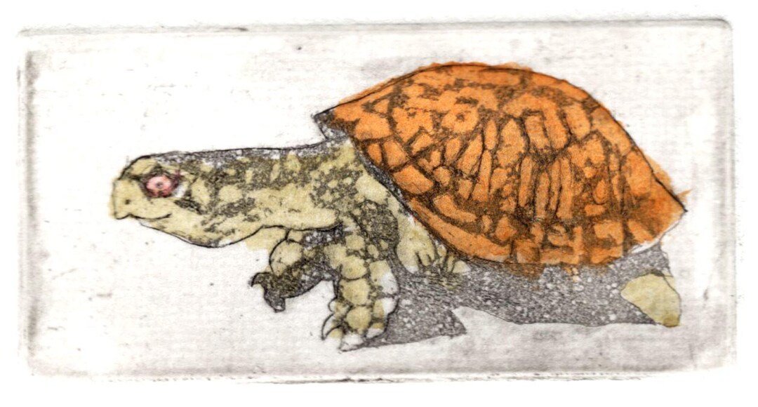 Original Etching "turtle" - Etsy
