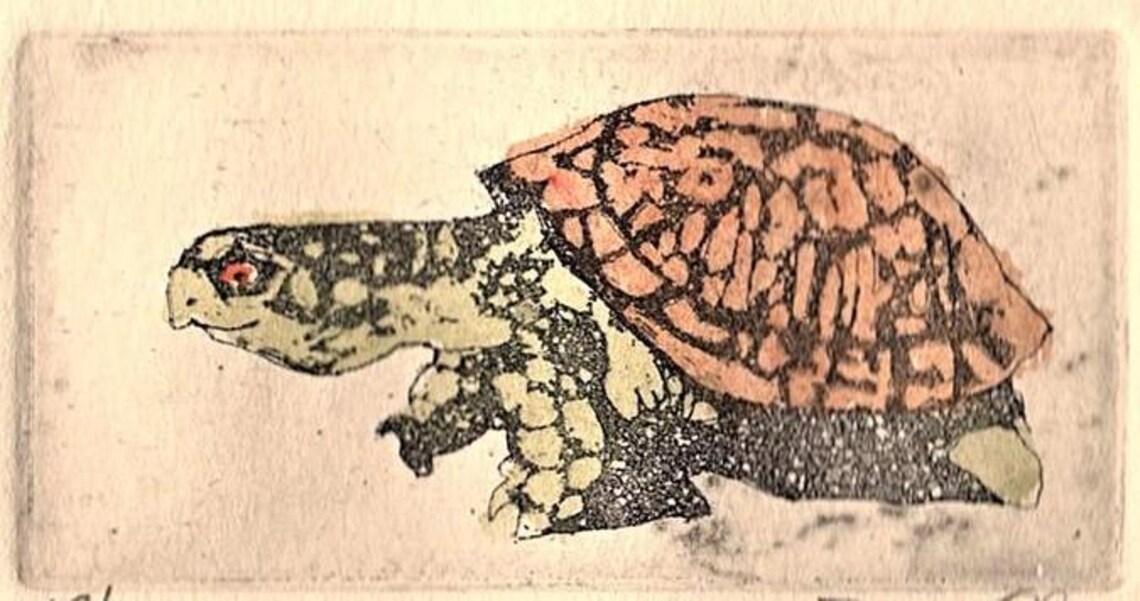 Turtle /etching - Etsy