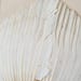 Vintage White Feather Painted Hand Fan, Antique Feather Fan Art, Bridal ...