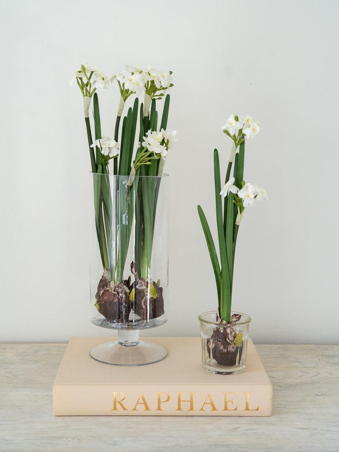 Faux Paperwhite With Bulb, Artificial Paperwhite Stem, Narcissus Stem ...