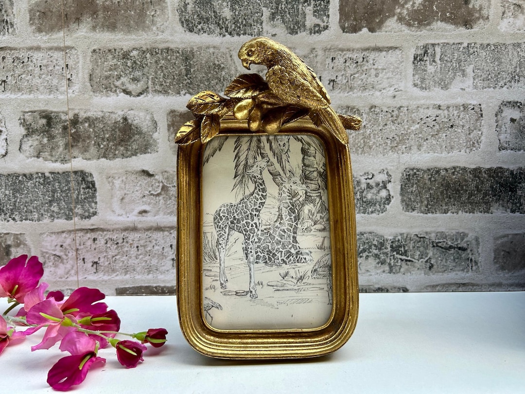 Parrot Photo Frame / Gold Photo Frame 6 X 4 Inch / Bird Photo Frame ...
