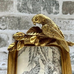 Parrot Photo Frame / Gold Photo Frame 6 X 4 Inch / Bird Photo Frame ...
