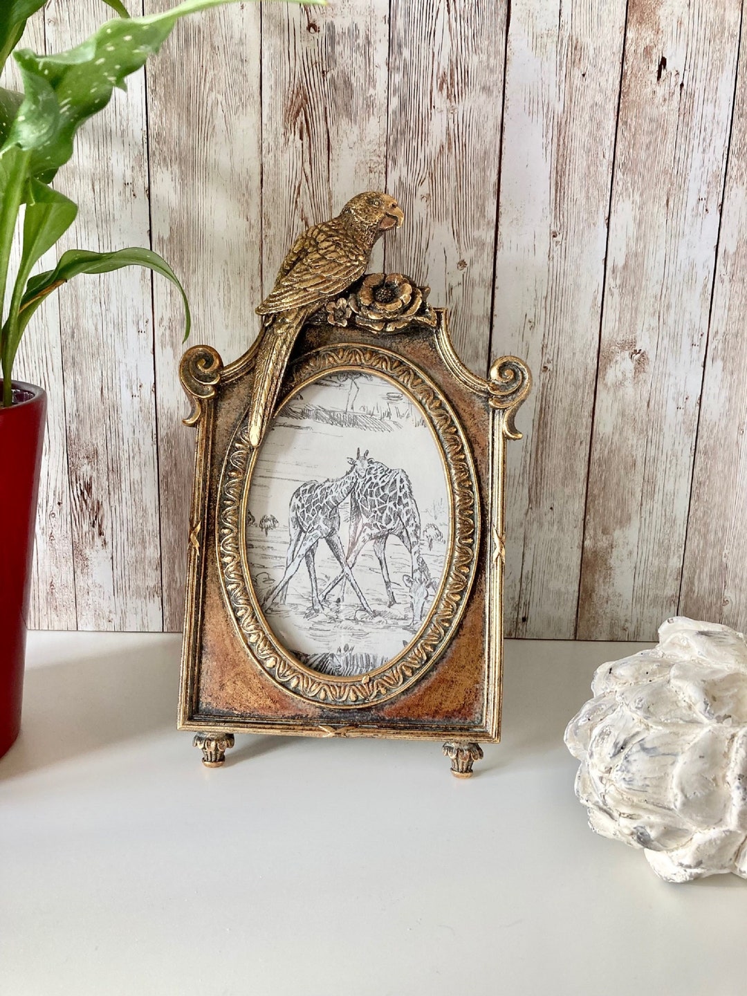 Oval Vintage Style Photo Frame Gold Parrot Bird Picture Frame 4 X 6 ...