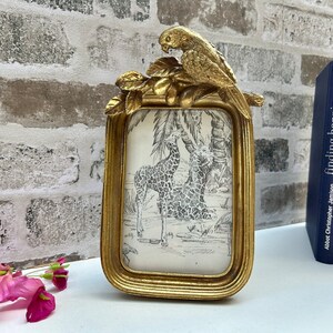 Parrot Photo Frame / Gold Photo Frame 6 X 4 Inch / Bird Photo Frame ...