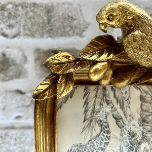 Parrot Photo Frame / Gold Photo Frame 6 X 4 Inch / Bird Photo Frame ...
