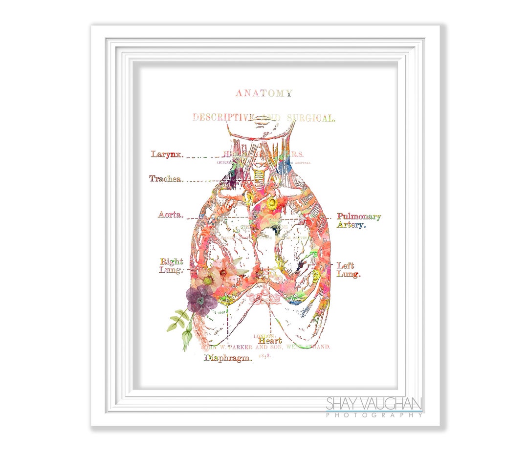 Human Respiratory System Print Anatomy Watercolor Floral Lungs Art ...