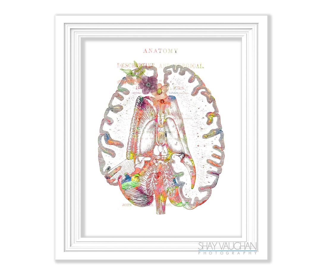 Human Brain Print Anatomy Art Watercolor Floral Brain Print Anatomical ...