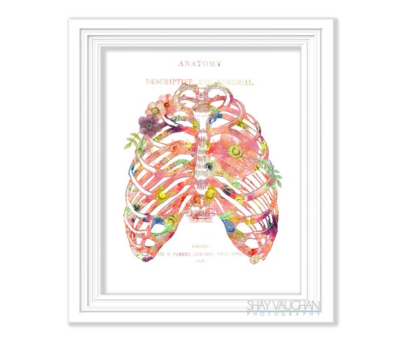 Rib Cage Anatomy Art Watercolor Floral Rib Cage Print | Etsy