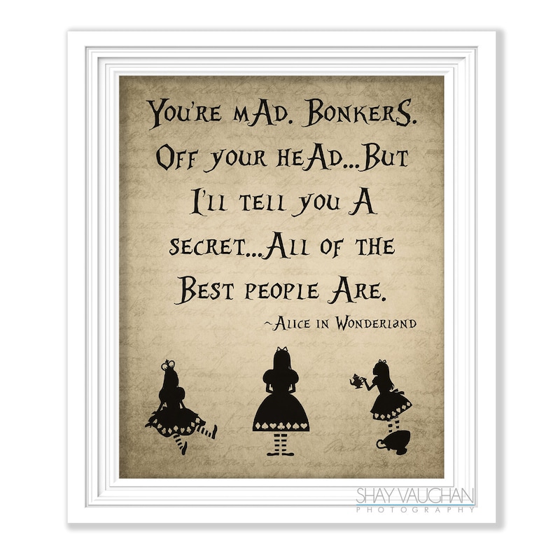 You're Mad Bonkers - Etsy