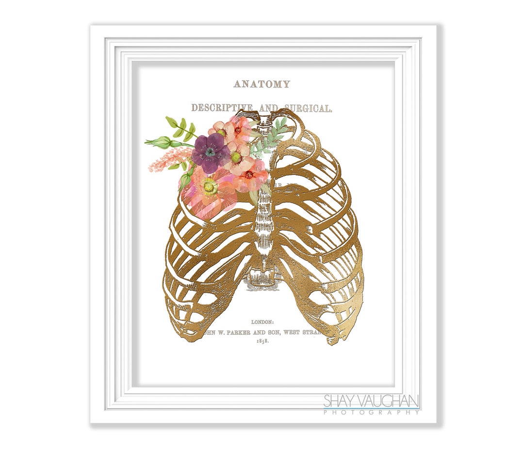 Rib Cage Anatomy Art Faux Gold Floral Rib Cage Print Anatomical Rib ...