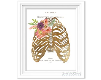 Rib Cage | Art Print - Etsy