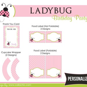 Ladybug Birthday Party Package girl Pink Polka Dot DIY - Etsy