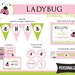 Ladybug Birthday Party Package girl Pink Polka Dot DIY - Etsy