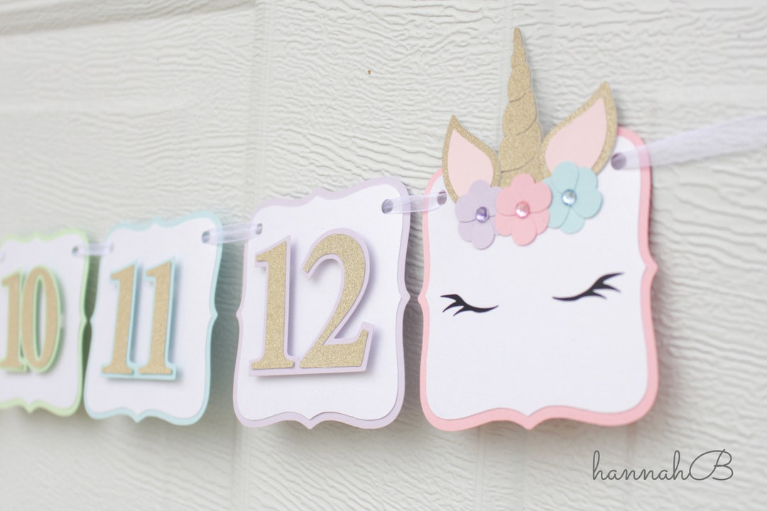 Unicorn Monthly Photo Banner, Unicorn 12 Month Banner, Unicorn First ...