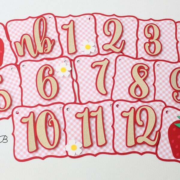 Monthly Photo Banner - Etsy