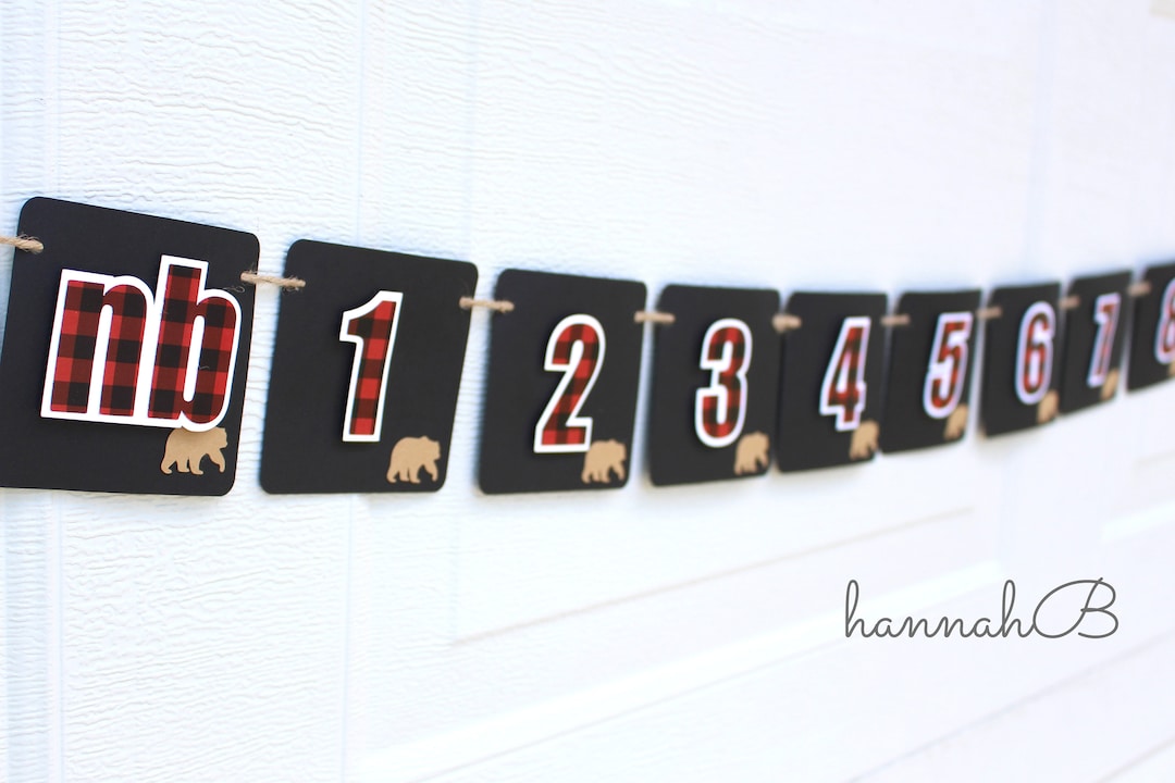 Lumberjack Photo Banner Bear Cub Monthly Banner Wild One - Etsy