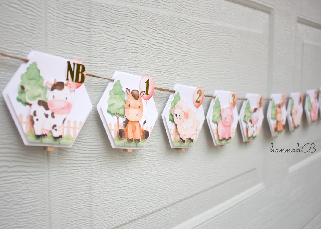 Farm Animals 1st Birthday Banner, Farm Animal Monthly Banner, Farmyard ...