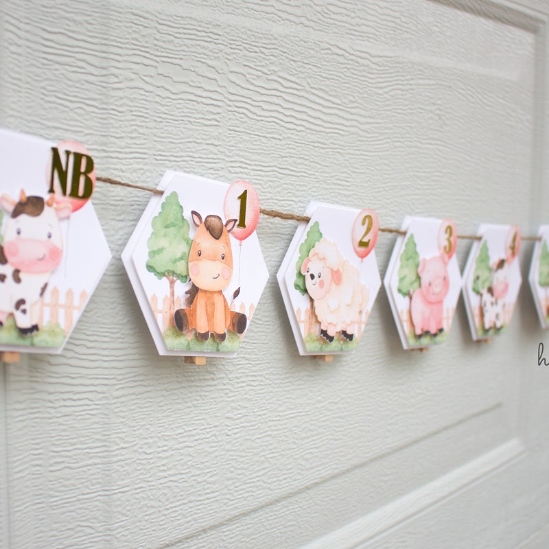 Farm Birthday Banner - Etsy