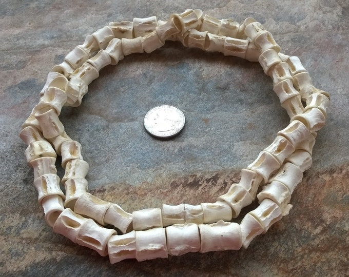 African Fish Vertebra Beadsfull String 75 Large Fish Bone - Etsy