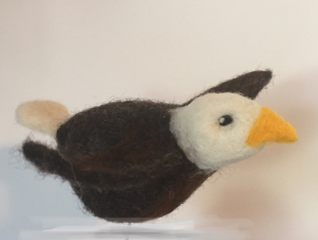Kit: Needle Felted Bird of the Month July - Etsy