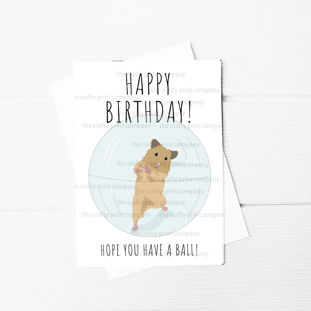 Happy Birthday Hamster Greeting Card A5 Birthday Card Hope You Have a ...