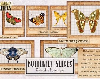 Butterfly Specimen Slides Ephemera Kit | Digital Junk Journal Kit ...