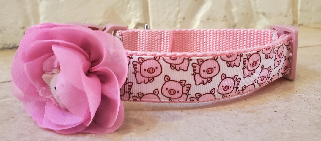 Dog Collar 1" When Pigs Fly - Etsy