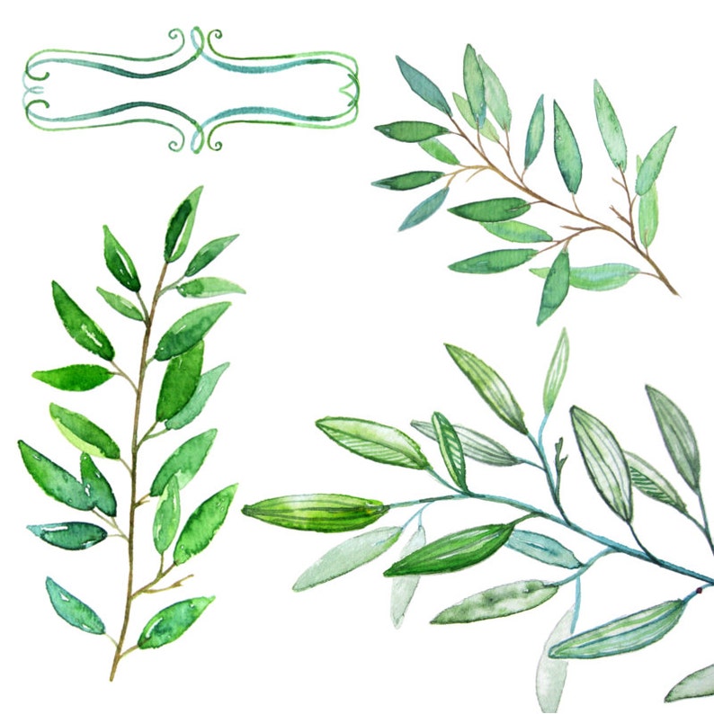 Hand Painted Flourishes Leaves Twigs Wreath and Banners Watercolor Clip ...
