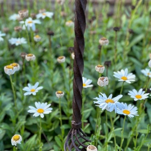 Vintage Wrought Iron Garden Stake: Twisted Basket Cage, 31"/35" - Etsy