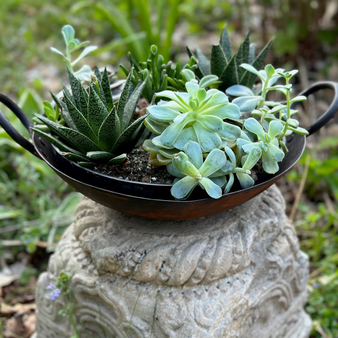 Vintage Rusty Steel Planter Repurposed From Old Indian Kadai Cooking ...