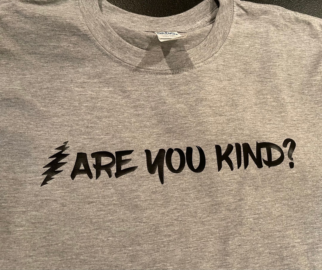 Are You Kind? Short Sleeve Adult Unisex T-shirt Dead and Company ...