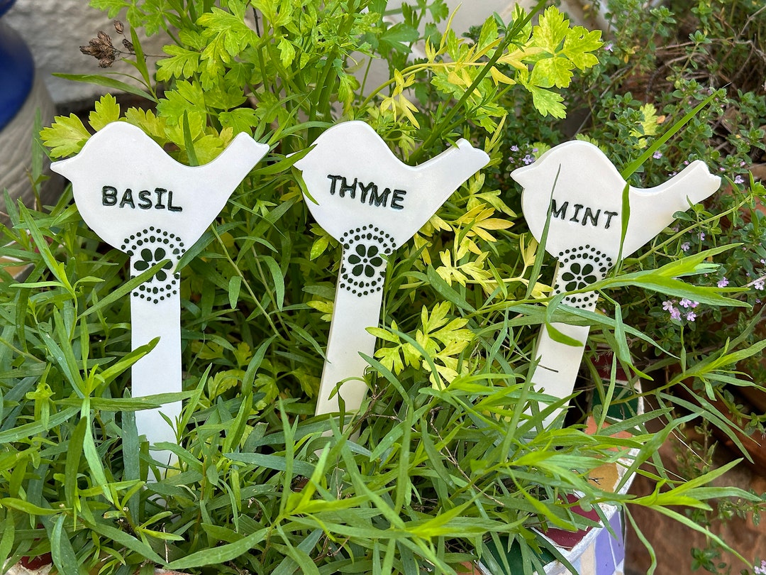 Herb Garden Markers Set of 3, Herb Labels for Thyme Basil Mint, Ceramic ...